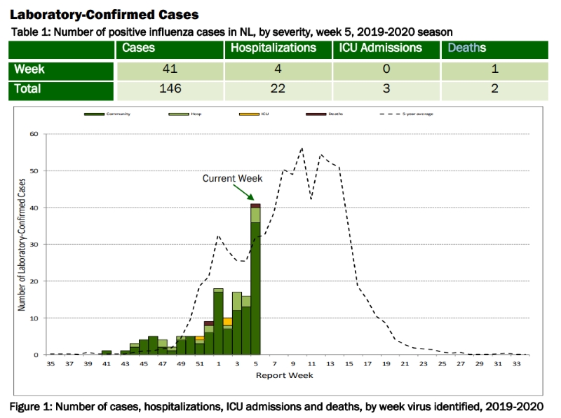 Number of Confirmed Cases of Influenza Continues to Climb in NL | VOCM