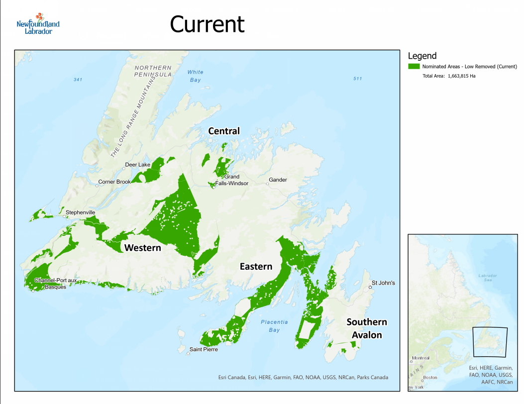 Province Moving Ahead With Wind Energy Projects as Call for Bids Now ...